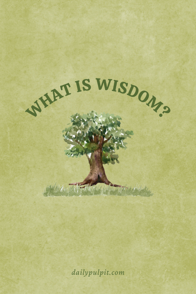 What is Wisdom? – The Daily Pulpit