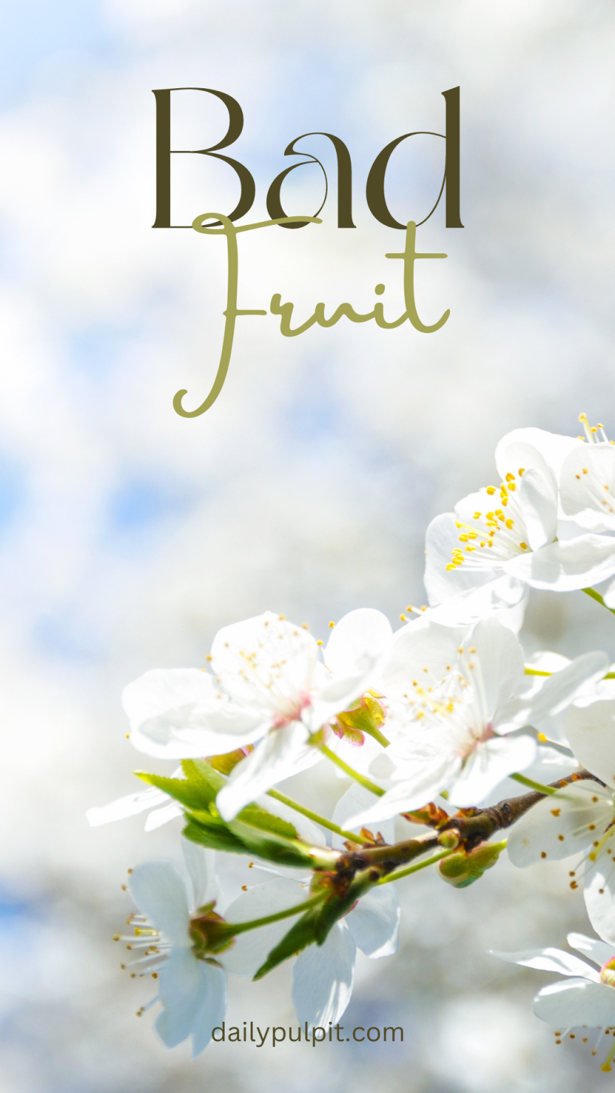 Bad Fruit – The Daily Pulpit