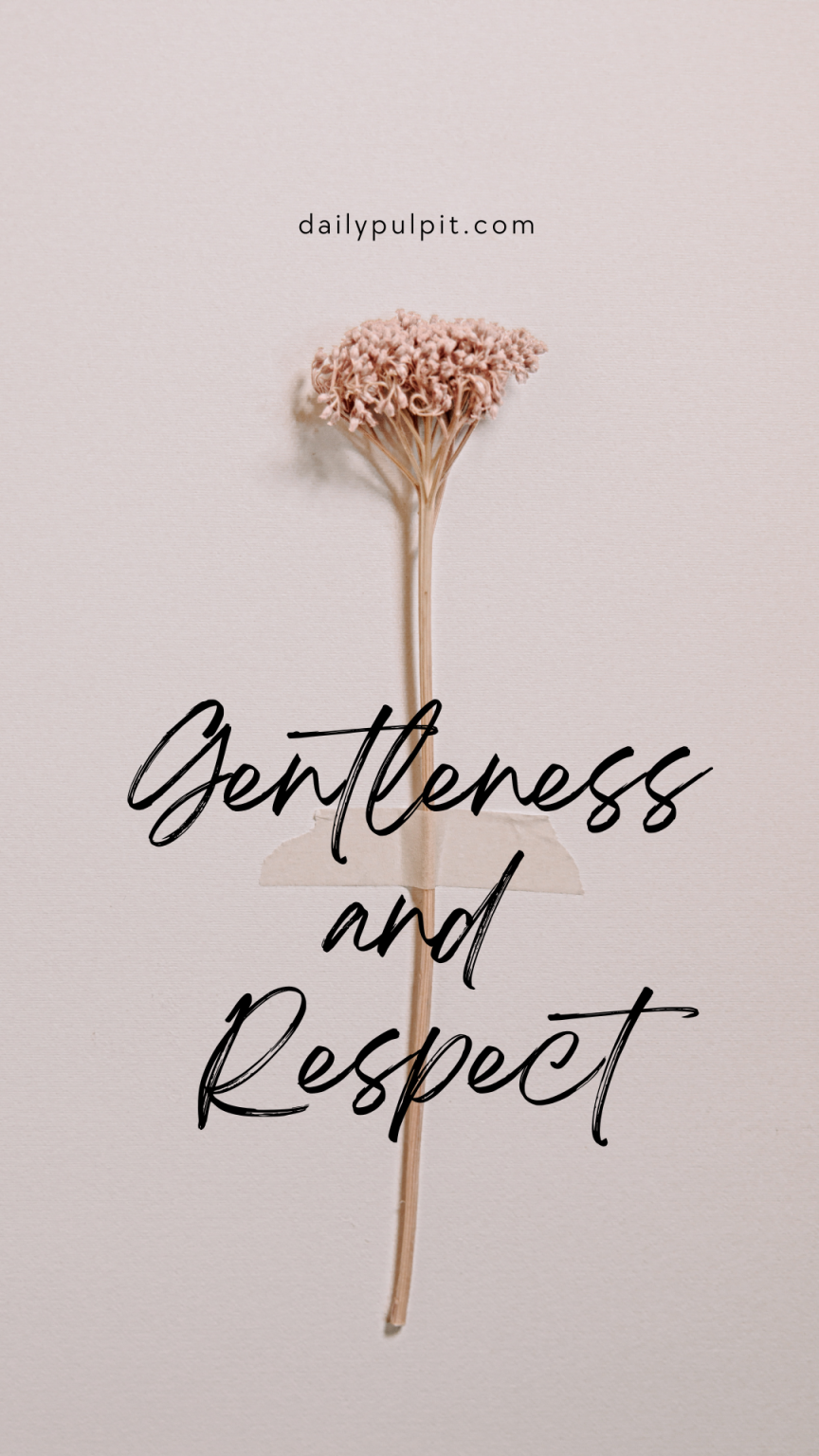 Gentleness and Respect – The Daily Pulpit